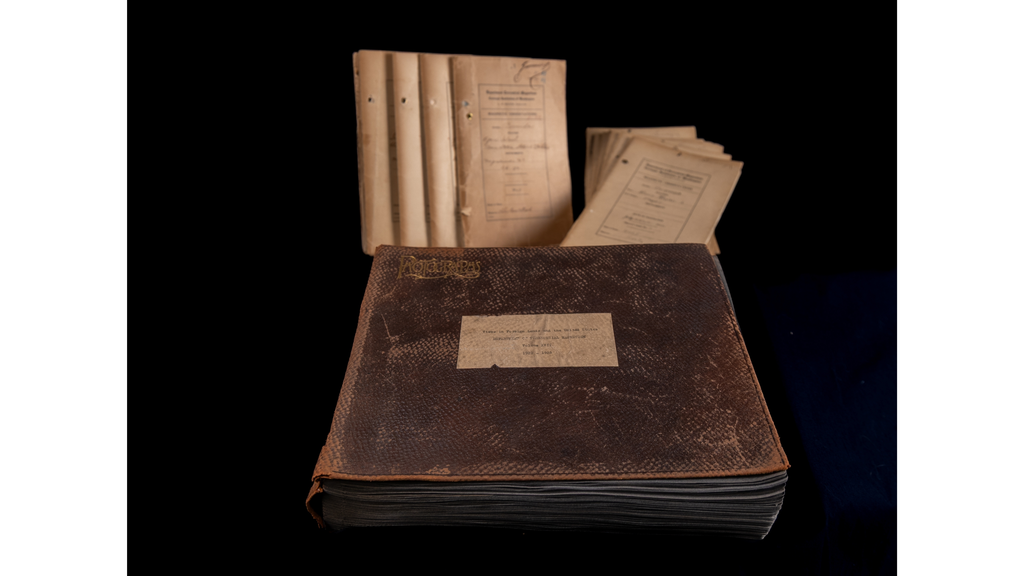 Object 11 | Bermuda Cahiers | Carnegie Science