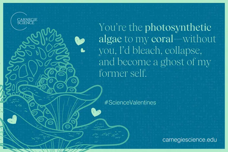 Share the love with science-themed valentines! | Carnegie Science