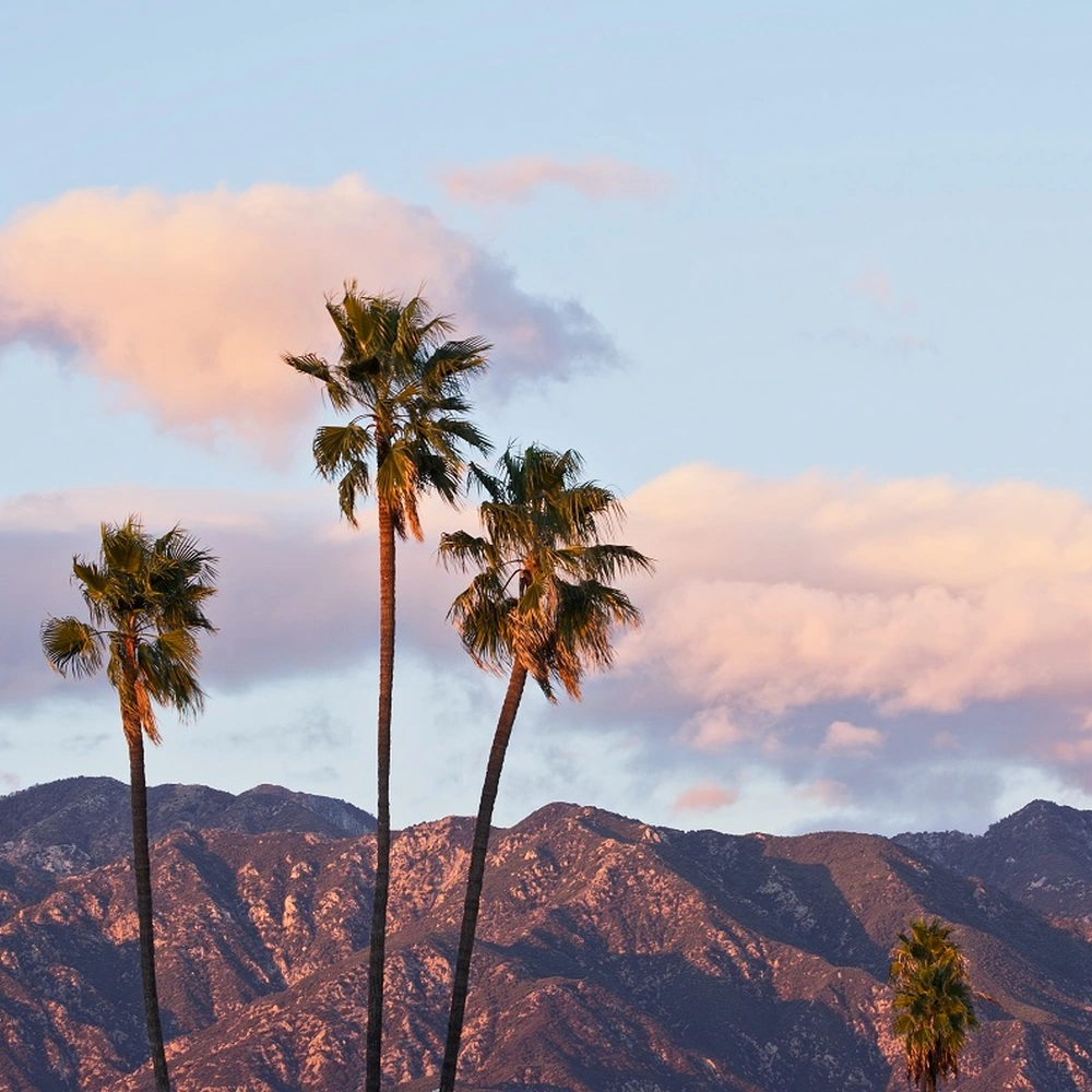 Governor Newsom Budgets $20 Million For New Carnegie Life And ...