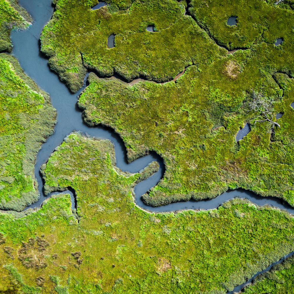 Global Ecology | Carnegie Science Global Ecology | Carnegie Science