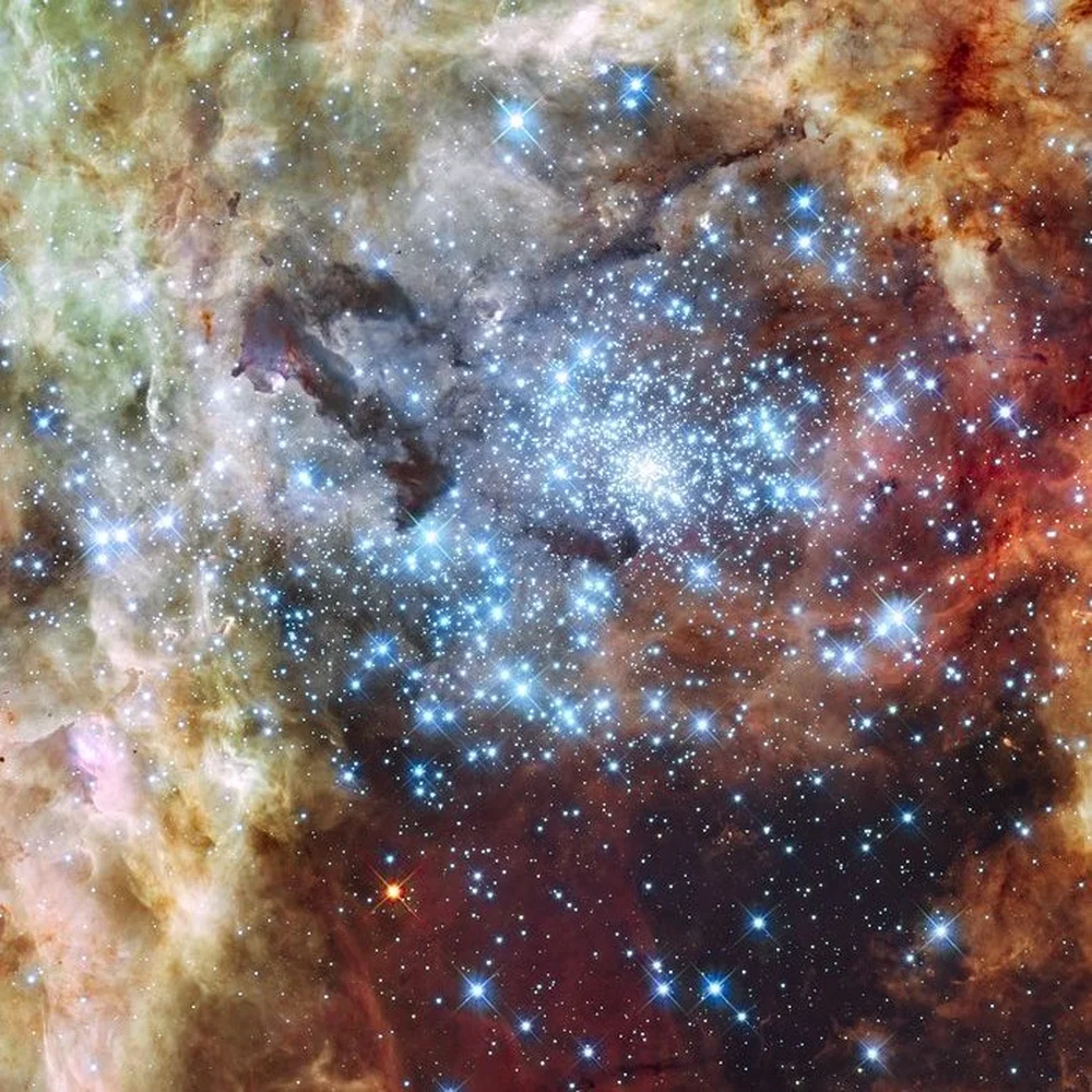 Dr. Eva Schinnerer: A cloud-scale view of the star formation process in ...