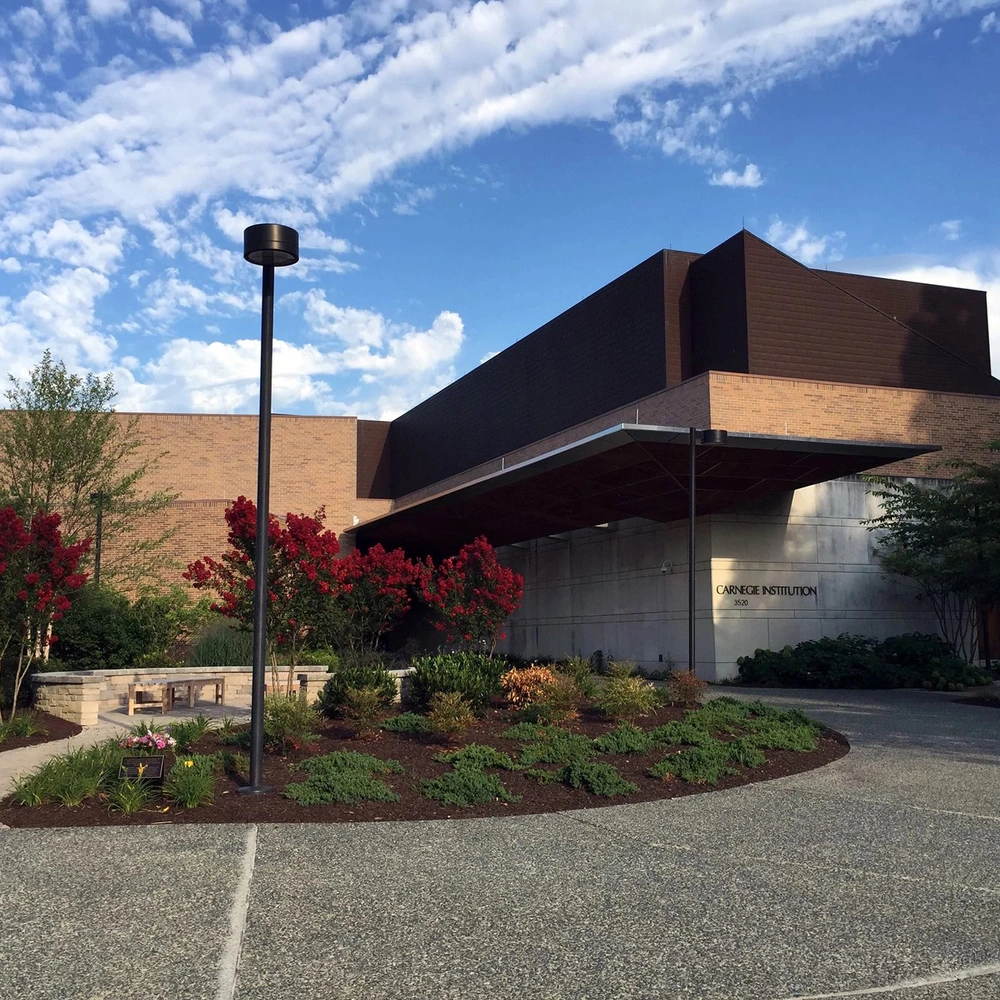 Mechanisms of symbiont-mediated asexual reproduction | Carnegie Science