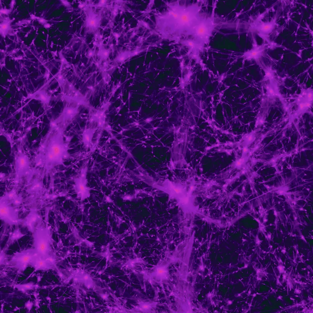 Ronald Lopez (UCLA) | Carnegie Science