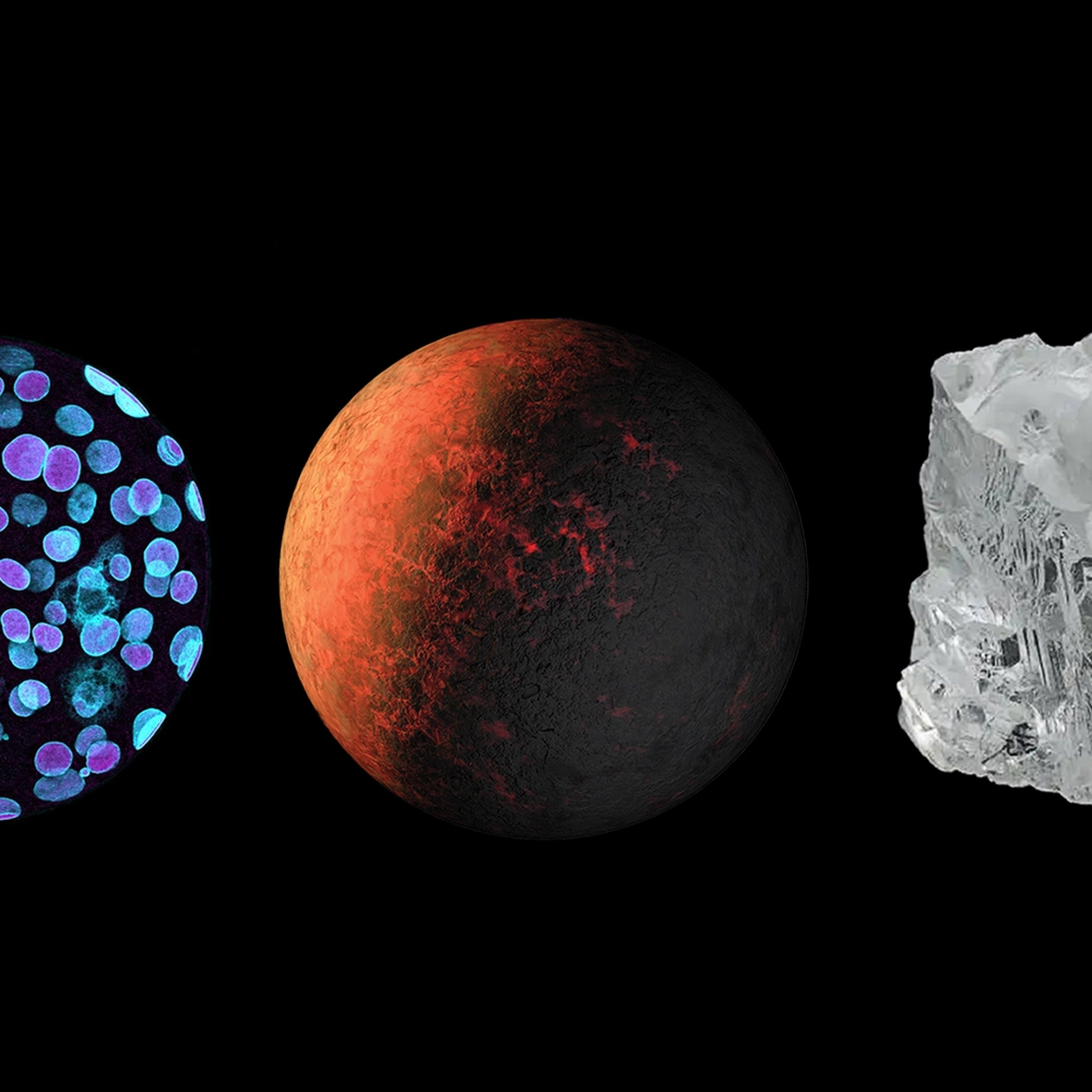 Brand Resources | Carnegie Science