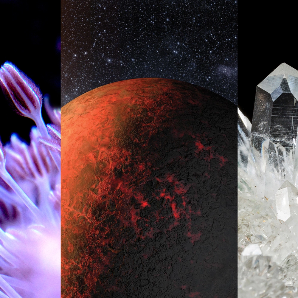 Bold. Boundless. Wondrous. Carnegie Science launches new visual ...