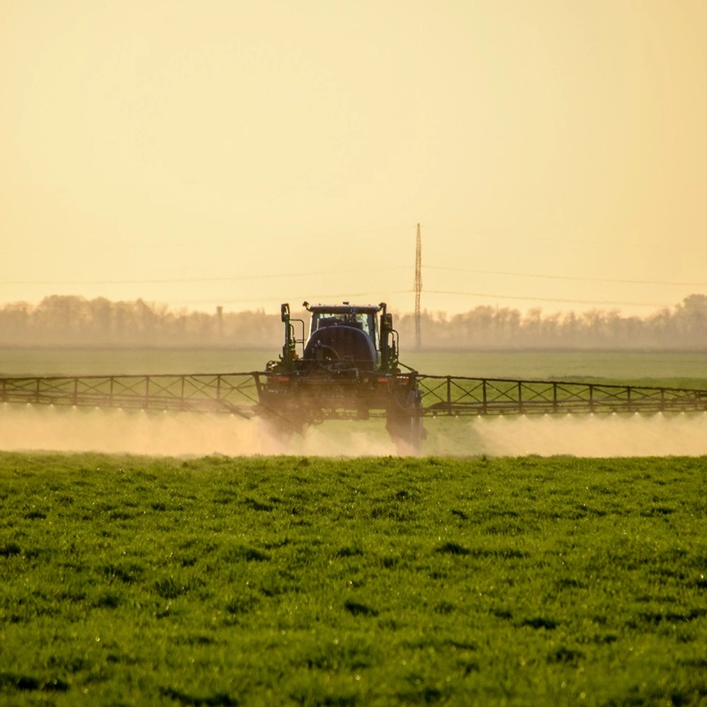 Green fertilizers could revolutionize agriculture and increase food ...