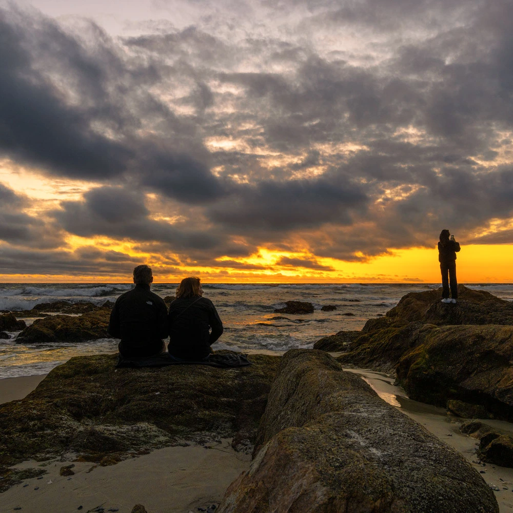 August 4 - 7 | Trait-based Approaches to Ocean Life