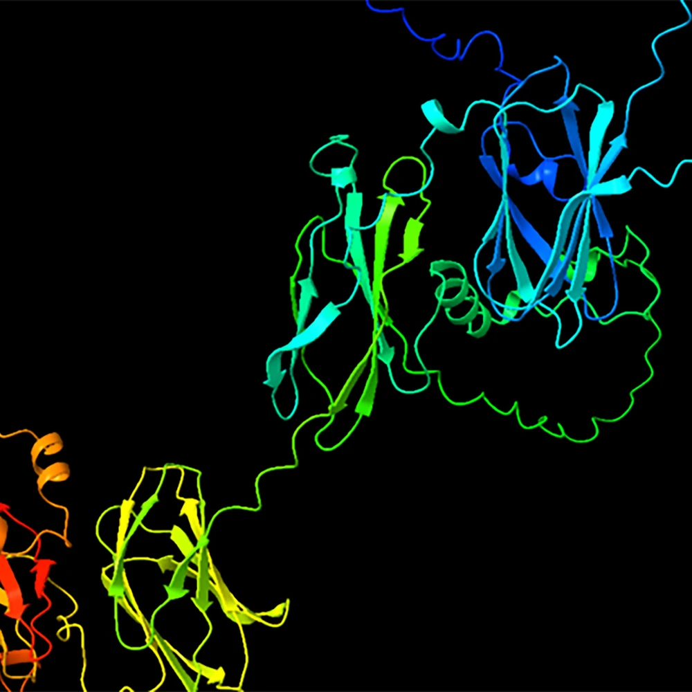 Membrane protein complex formation and the spore coat | Carnegie Science