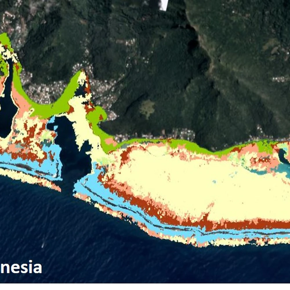 Unprecedented atlas of coral reefs released | Carnegie Science