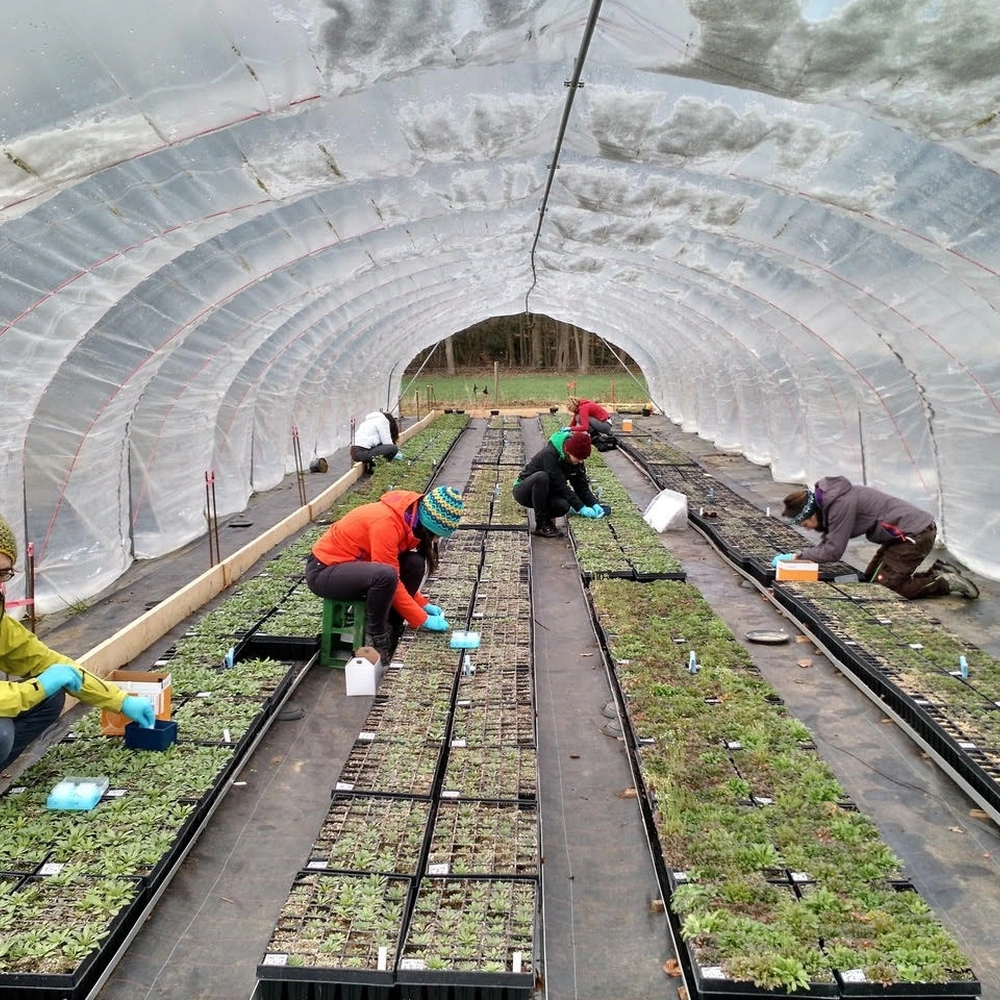 Predicting the mutations plants need to survive climate change ...