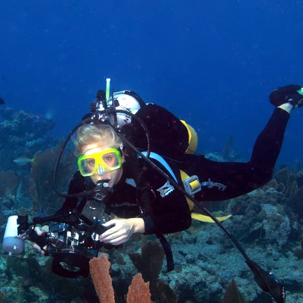 Rebecca Albright Honored with 2nd Carnegie “Postdoctoral Innovation and ...
