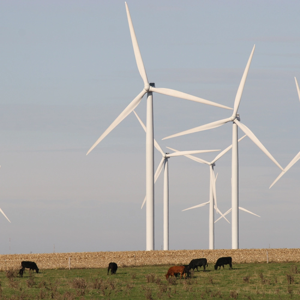 New Tools Assess the Future of Wind Power | Carnegie Science