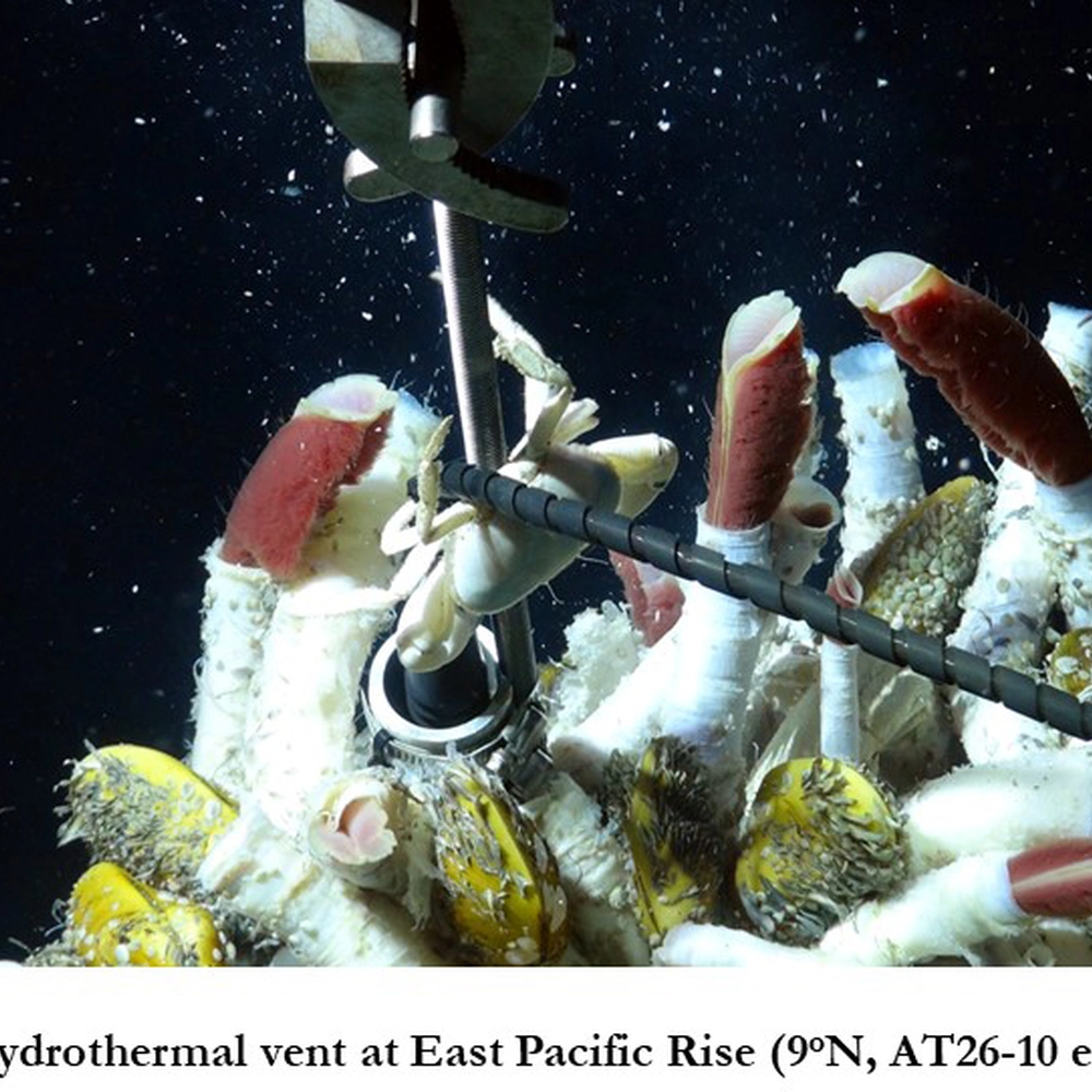 Venture Grant Awarded to Dionysis Foustoukos and Sue Rhee | Carnegie ...