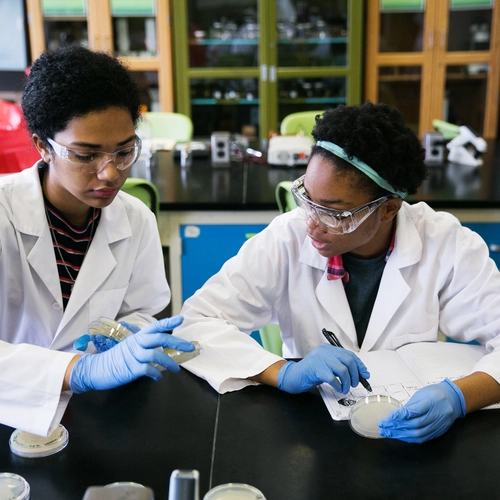 Outreach & Education | Carnegie Science